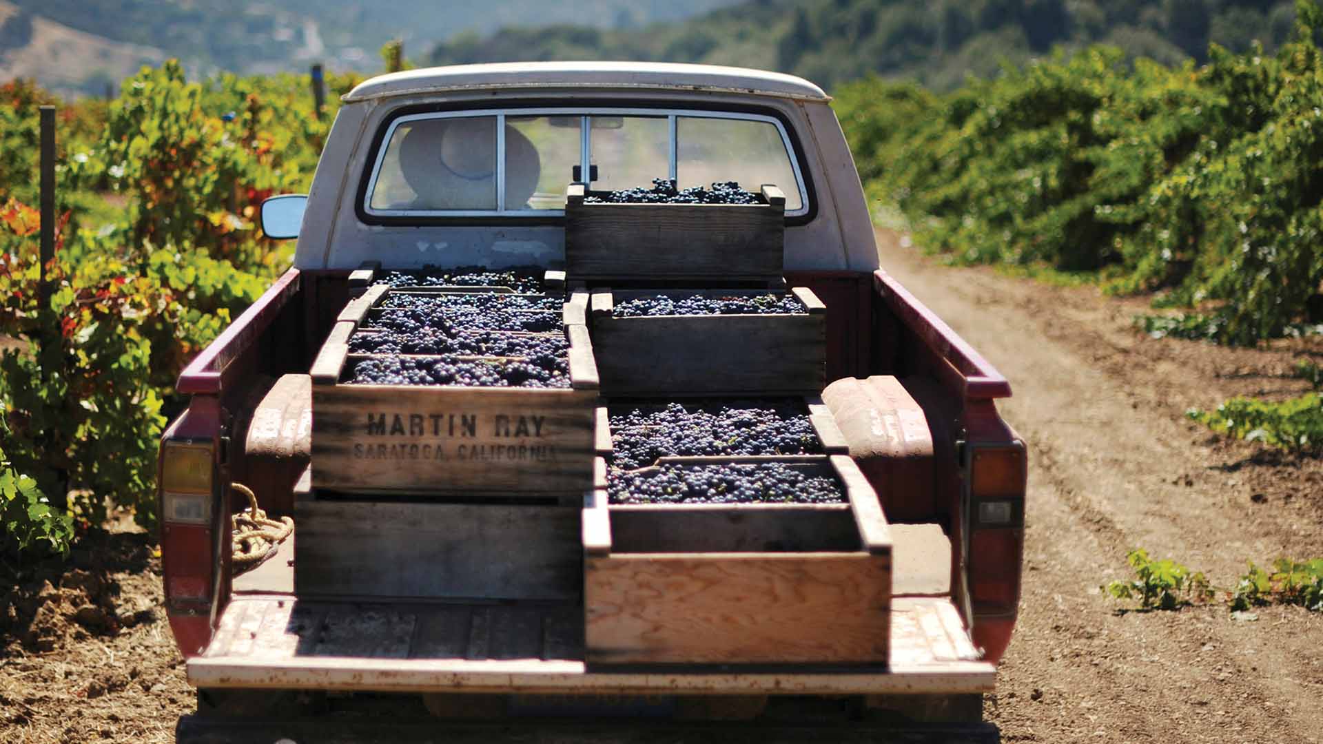 California Wine 2018 Harvest Report Slow and Steady Growing Season ...