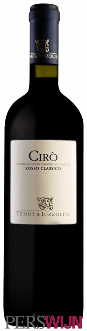 Tenuta Iuzzolini Cirò Rosso Classico 2020 Calabria Cirò