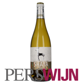 Shaya Blanco 2021 Castilla y Léon Rueda