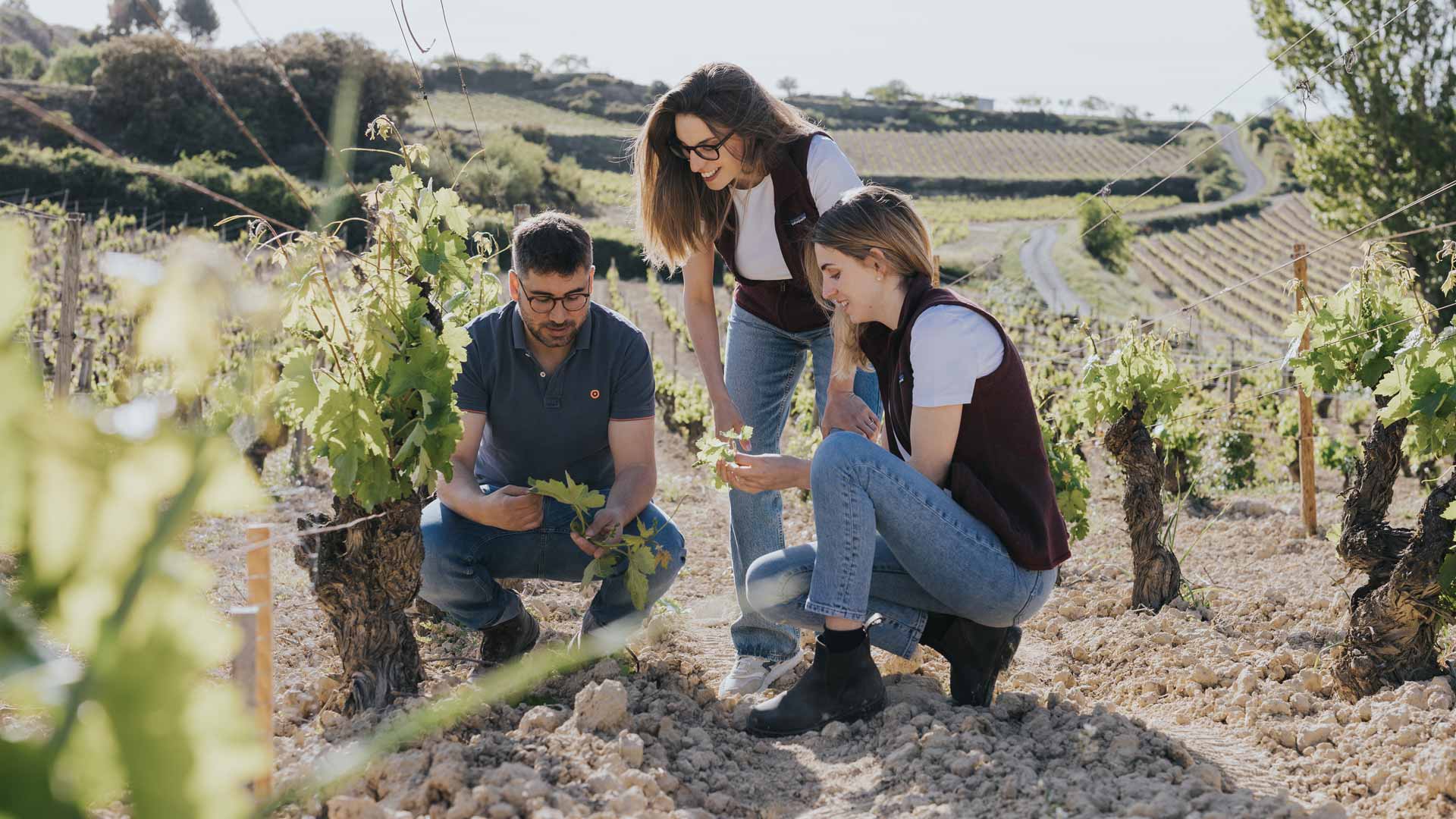Artadi en de Viñedos Singulares in Rioja - Perswijn