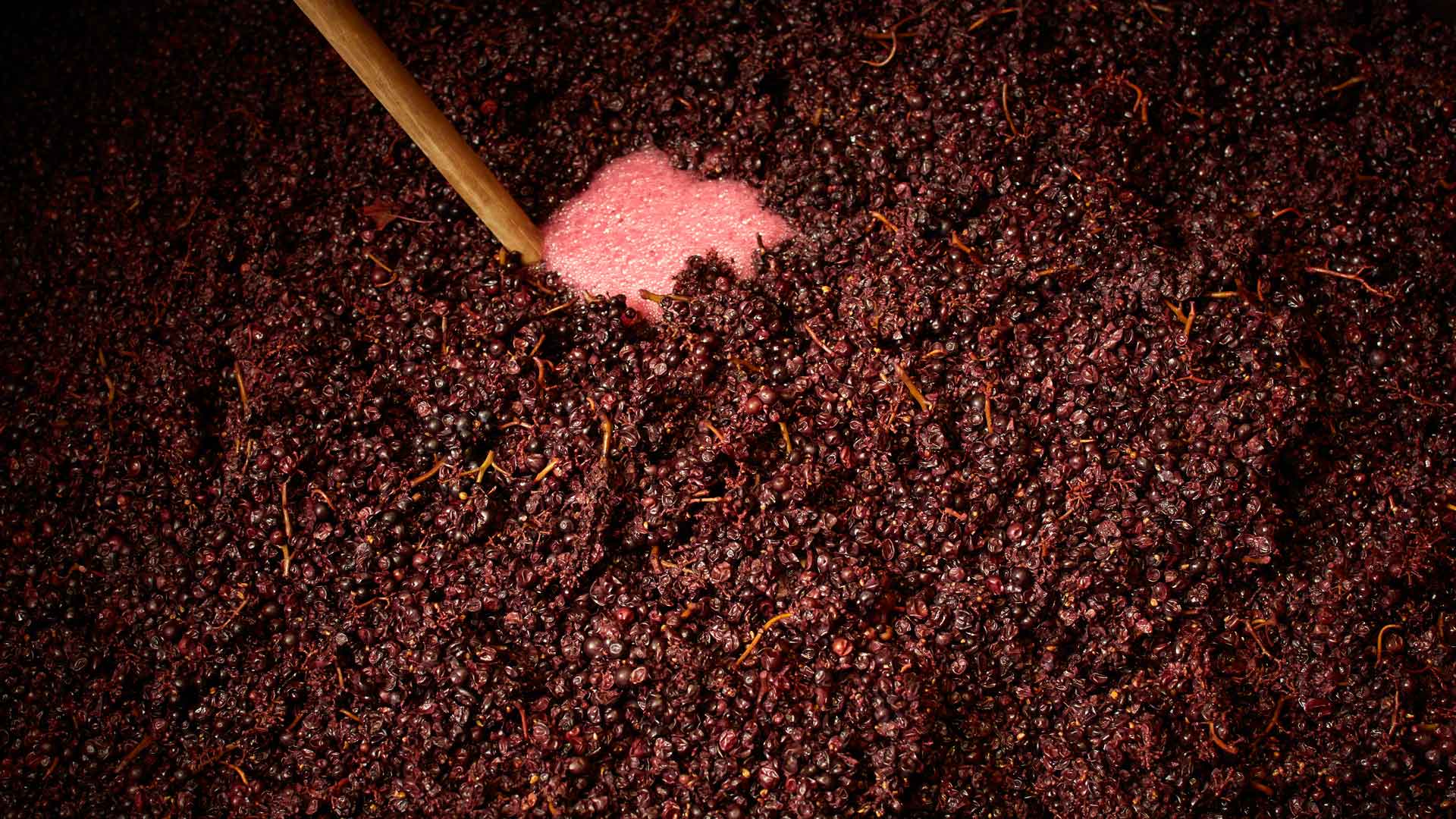 Verborgen zoet in droge rode wijn - Perswijn